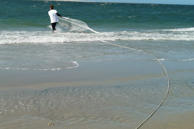 Zeeland Beach safari with Fishnet NL/DE - An In-Depth Look at the Zeeland Beach Safari