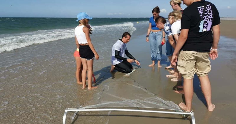 Zeeland Strand safari met visnet NL/DE - Who Will Love This Tour?
