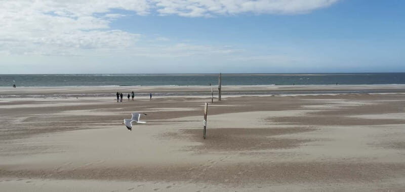 Zeeland Strand safari met visnet NL/DE - Safety and Respect for Nature
