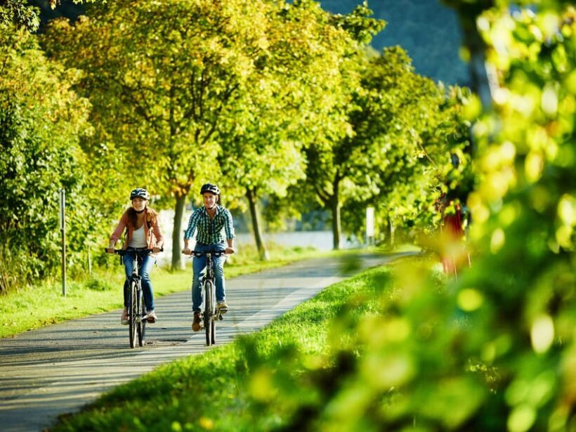 Zell: Bike and boat tour with wine tasting and picnic - Key Points