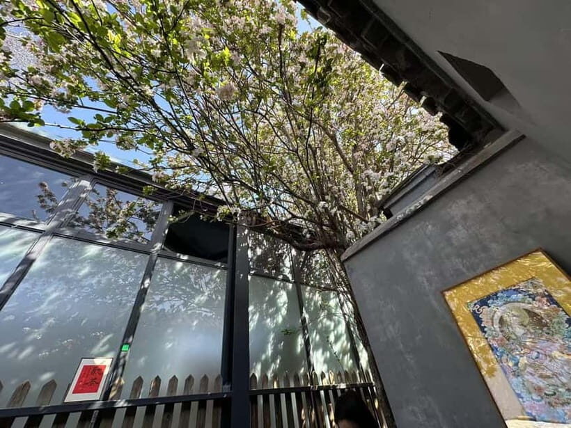 Zen Beijing: Guided Meditation, Tea & Hutong Culture Walk - Key Points