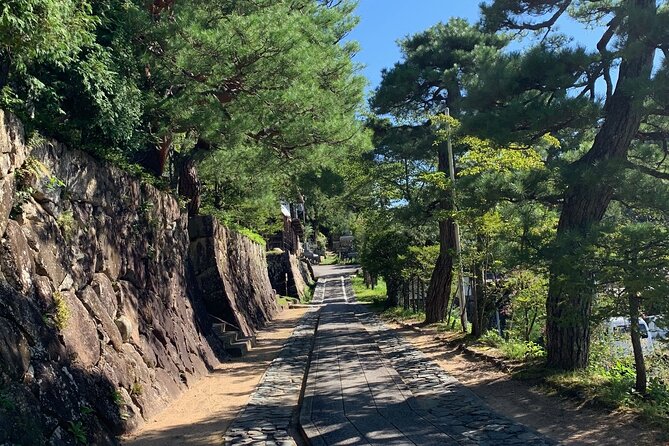Zen Meditation and Higashiyama Temples Walking Tour - Review Summary