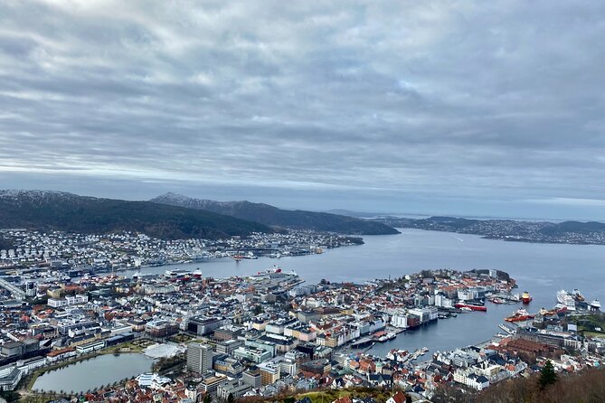 Zero Emission Bergen City Tour By Car - Key Points