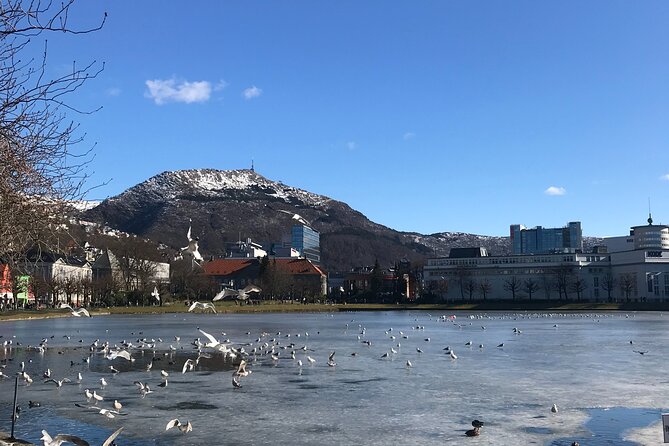 Zero Emission Bergen City Tour By Car - The Practicalities: What to Expect
