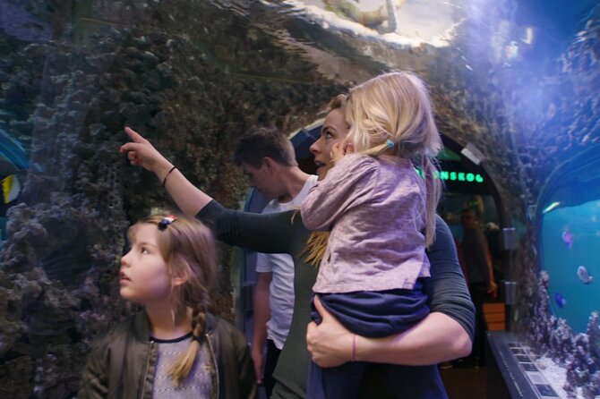 Zero Emission Bergen City Tour By Car - The Review in Perspective