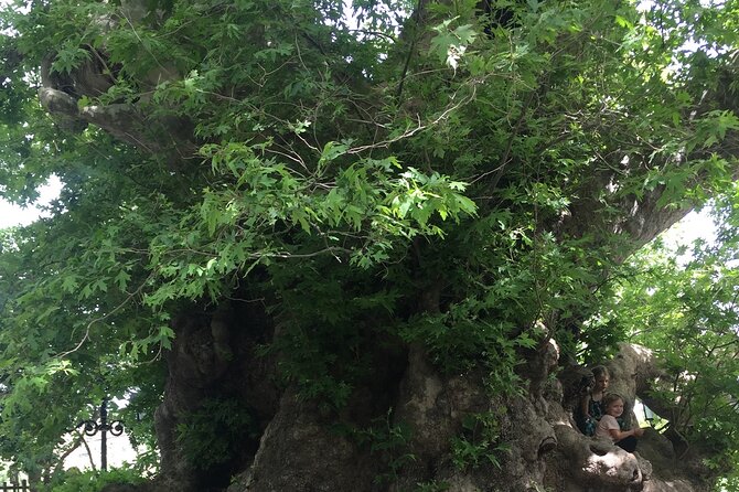 Zeuss Birthplace- Old Villages-Olive Oil Factory- Small Group - FAQs