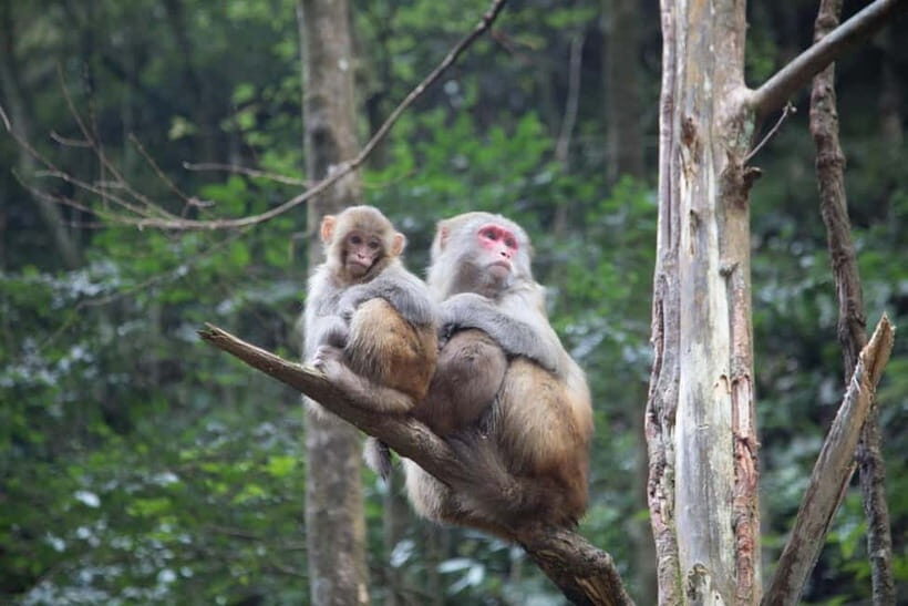 Zhangjiajie: Mystical Peaks & Ancient Towns 3-Day Tour - Key Points