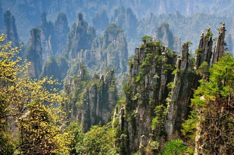 Zhangjiajie National Forest Park: Private Day Tour - Authentic Experiences and Traveler Feedback