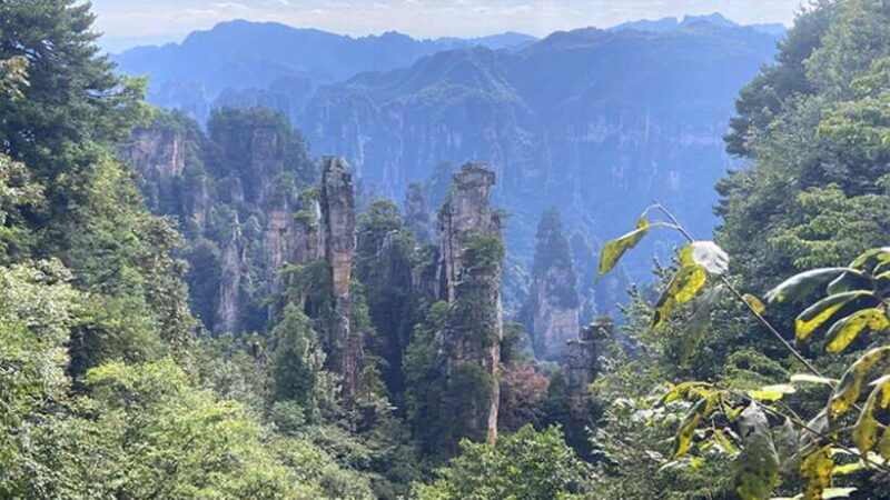Zhangjiajie National Forest Park: Private Tour and Transport - FAQ