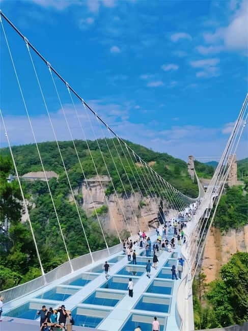 Zhangjiajie: Sky-High Cable Car & Glass Bridge Experience - Real Traveler Insights and Feedback