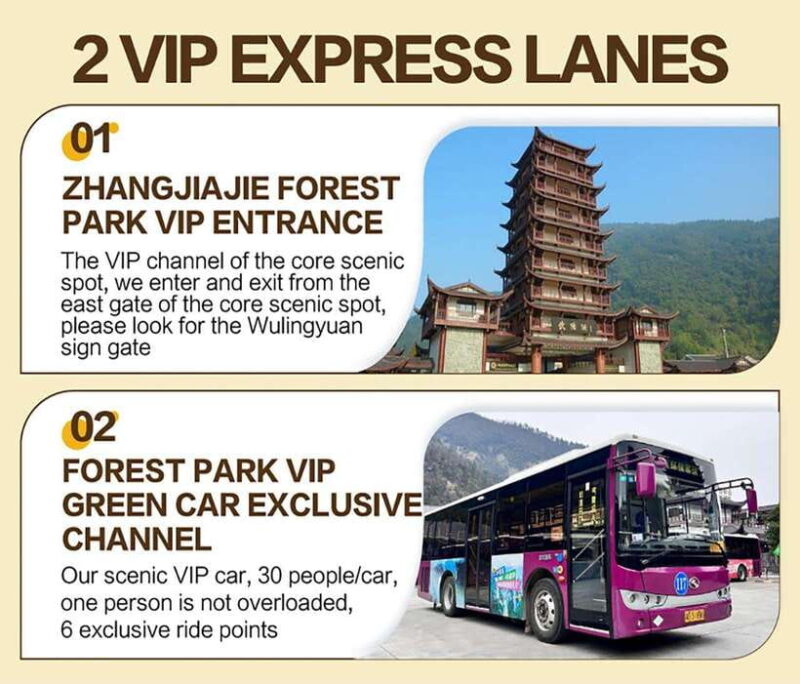 Zhangjiajie: VIP Zhangjiajie National Forest Park Day Tour - Who Should Consider This Tour?