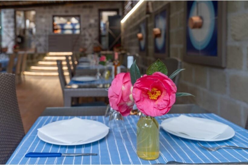 Zì Teresa Food Tasting Activity - The Sum Up: Is This Tour Worth Your Time?