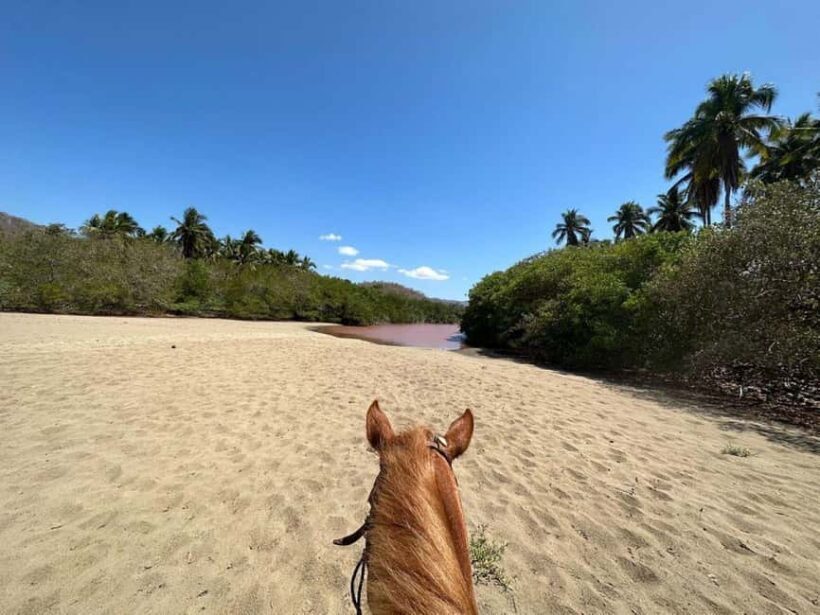 Zihuatanejo: Horseback Riding Tour with Playa Larga Beach - Final Thoughts