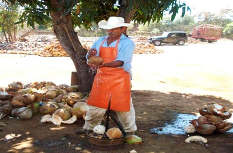 Zihuatanejo Ixtapa: City Tour - What to Expect from the Tour