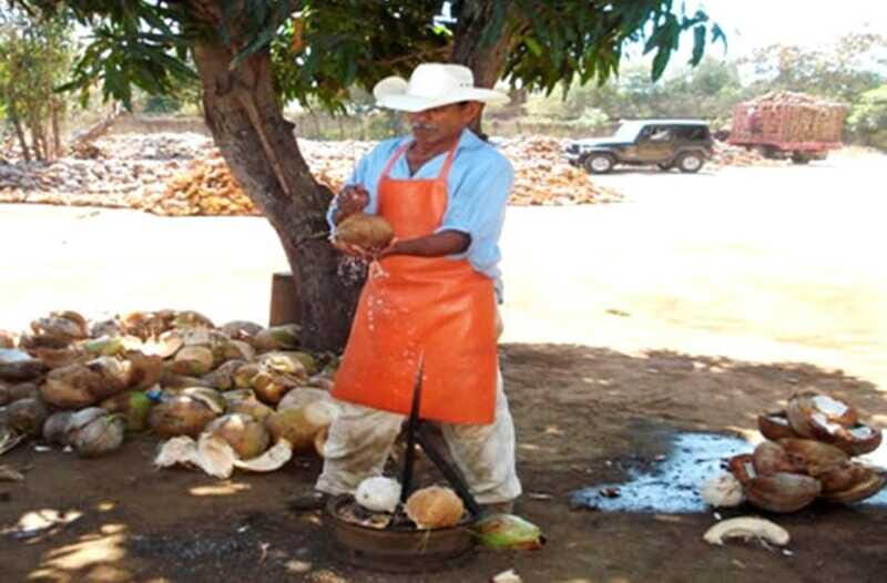 Zihuatanejo Ixtapa: Countryside Tour - FAQs