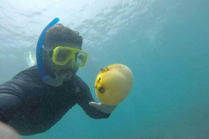Zihuatanejo: Las Gatas Beach Snorkeling and Kayaking Tour - The Practicalities: What You Need to Know