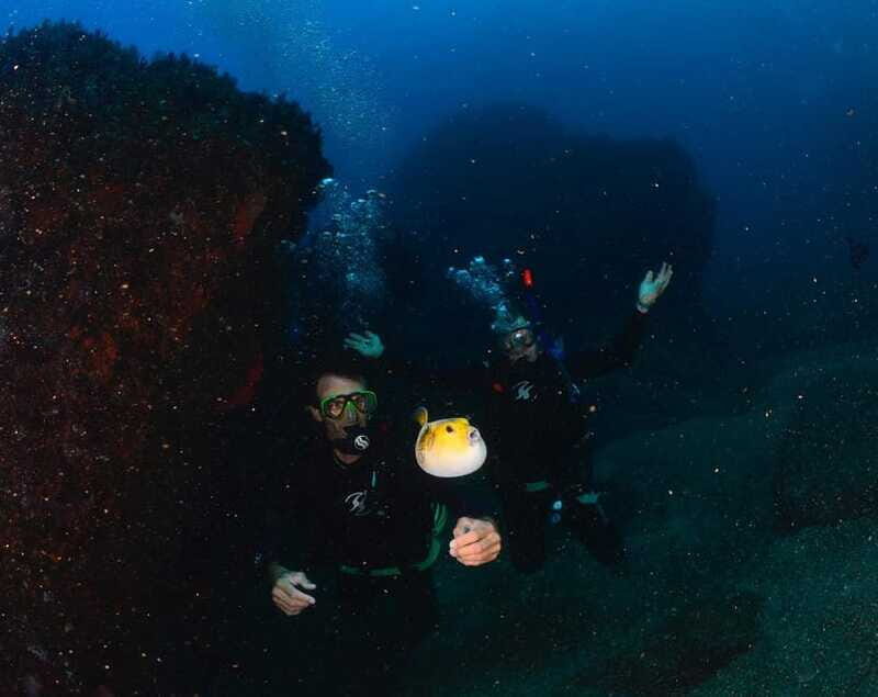 Zihuatanejo: Moonlit Dive at Las Gatas - Why You Might Love This Experience