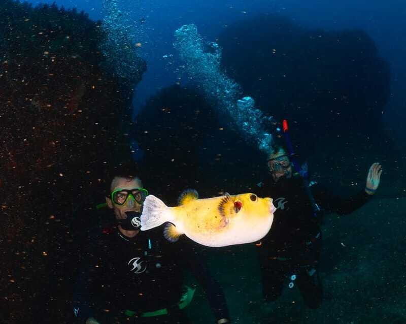 Zihuatanejo: Moonlit Dive at Las Gatas - Diving Guides and Safety