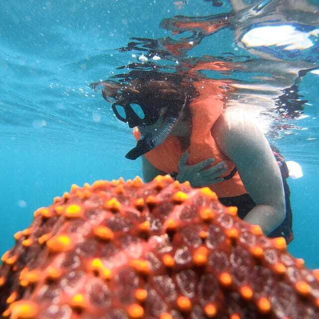 Zihuatanejo: Snorkeling in Manzanillo and Las Gatas - What to Expect During the Day