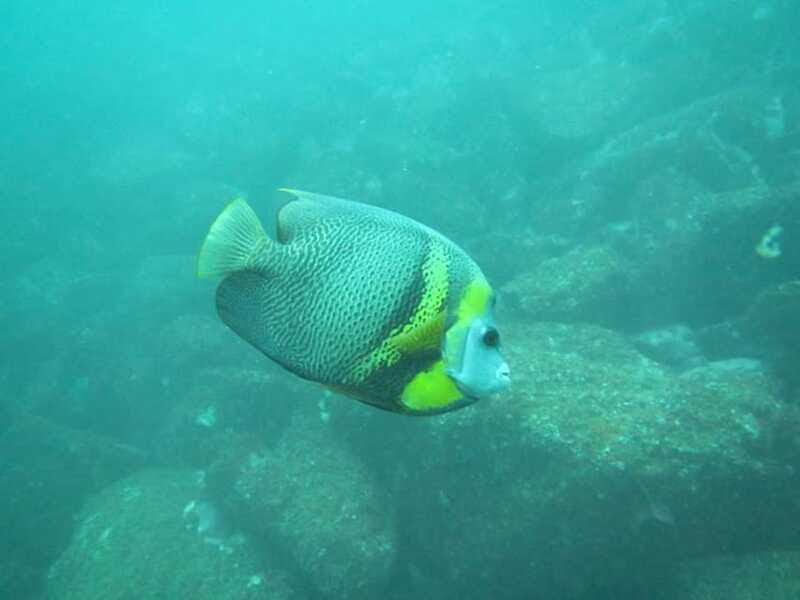 Zihuatanejo: Snorkeling in Manzanillo and Las Gatas - FAQ