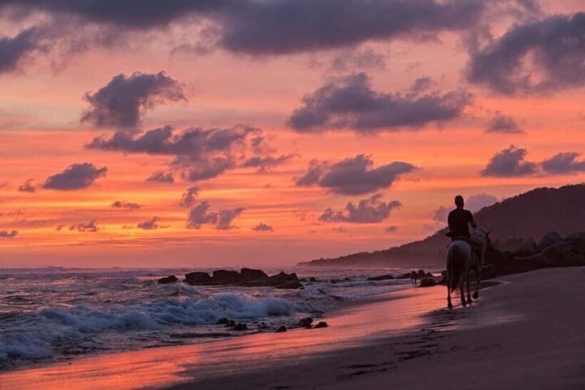 Zihuatanejo: Troncones,Manzanillo Bayband Majahua Beach Tour - Key Points