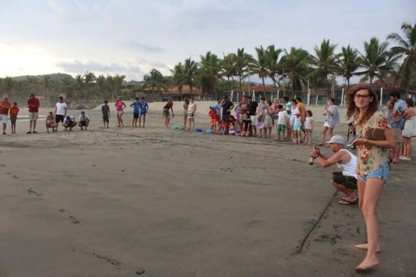 Zihuatanejo: Troncones,Manzanillo Bayband Majahua Beach Tour - The Practical Details
