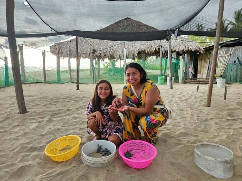 Zihuatanejo: Turtle Release Experience at Playa Blanca - A heartfelt look at the Turtle Release Experience at Playa Blanca