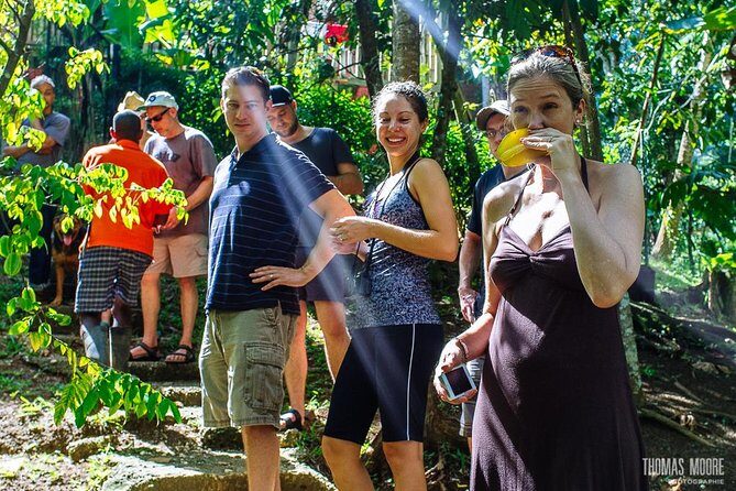 Zimbali's Rasta Tour Lunch - The Journey to Zimbali: A Closer Look