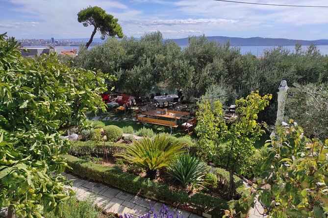 Zinfandel Wine Tasting & Storytelling With Dalmatian Food - Booking Your Wine Tasting Adventure