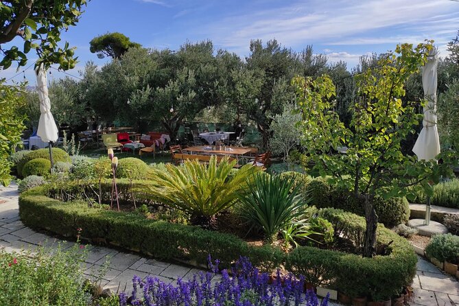 Zinfandel Wine Tasting & Storytelling With Dalmatian Food - Since You Asked