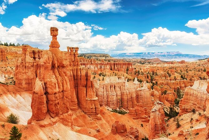Zion and Bryce Canyon National Park Small Group Tour - Tour Highlights