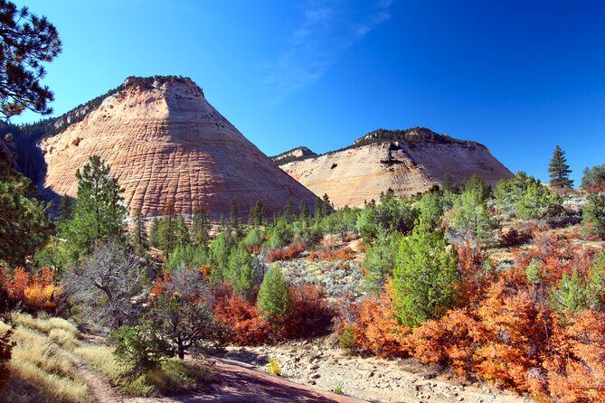 Zion and Bryce Canyon National Parks Self-Driving Bundle Tour - What Reviewers Say