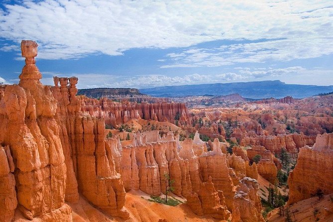 Zion and Bryce Canyon Small Group Tour from Las Vegas - What the Reviews Say