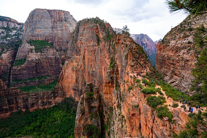 Zion Full Day Small Group Tour With Narrows - What to Expect During the Tour