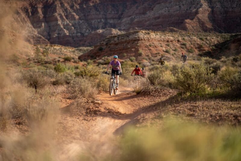 Zion: Guided Half Day Mountain Bike Tour - Key Points