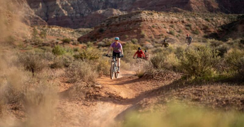Zion: Guided Half Day Mountain Bike Tour - Practical Tips
