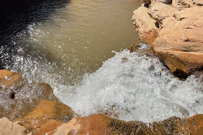 Zion Hummer Tour to Zion Waterfall with swimming - An In-Depth Look at the Zion Waterfall Hummer Tour