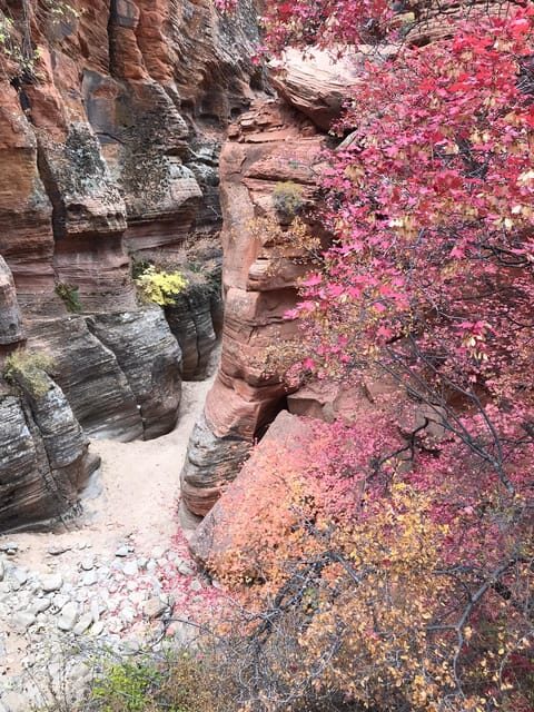 Zion National Park 5-hour Tour: Hike and Drive - Key Points