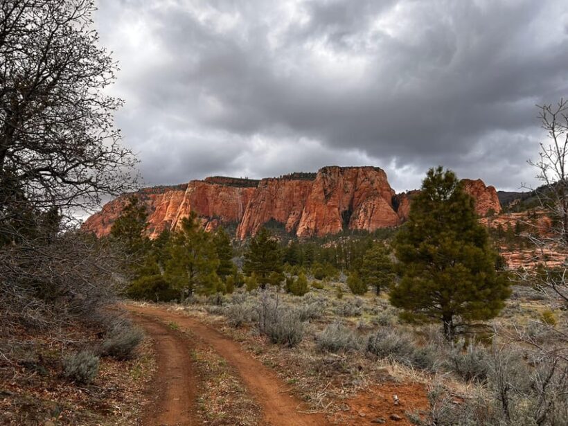 Zion National Park 5-hour Tour: Hike and Drive - In The Sum Up