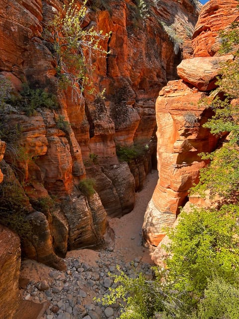 Zion National Park 5-hour Tour: Hike and Drive - What to Bring & Practical Tips