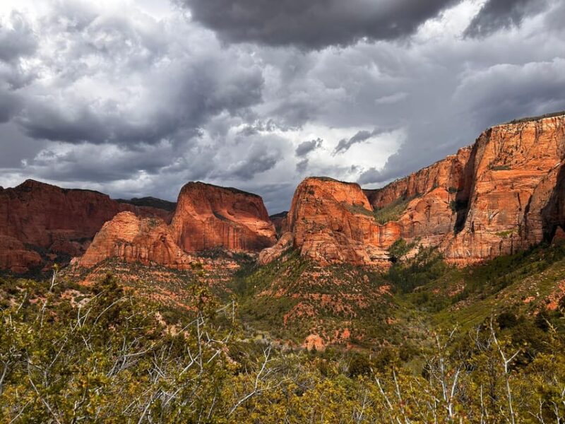 Zion National Park 5-hour Tour: Hike and Drive - The Value for the Price