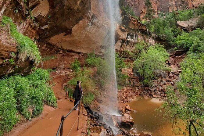 Zion National Park Full-Day Insider Tour - Why This Tour Might Be Just Right for You