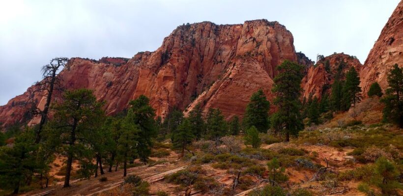 Zion National Park - Kolob Terrace: 1/2 Day Sightseeing Tour - Why This Tour Offers Great Value