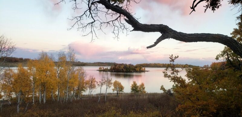Zion National Park - Kolob Terrace: 1/2 Day Sightseeing Tour - What’s Included and Practicalities