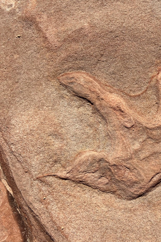 Zion National Park: UTV Outback Tour - Key Points