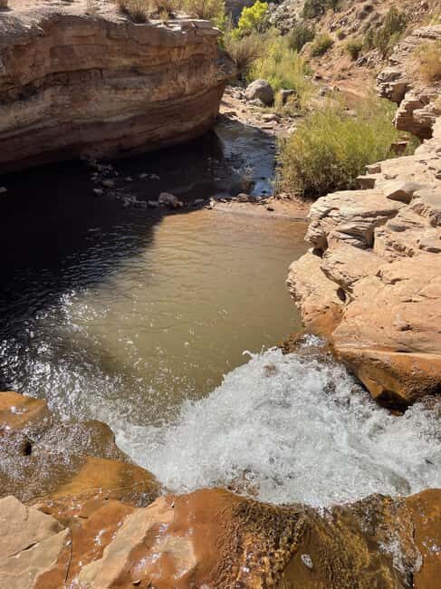 Zion National Park: Waterfall Hummer Tour with Pools - The Guide: Knowledge and Enthusiasm Matter