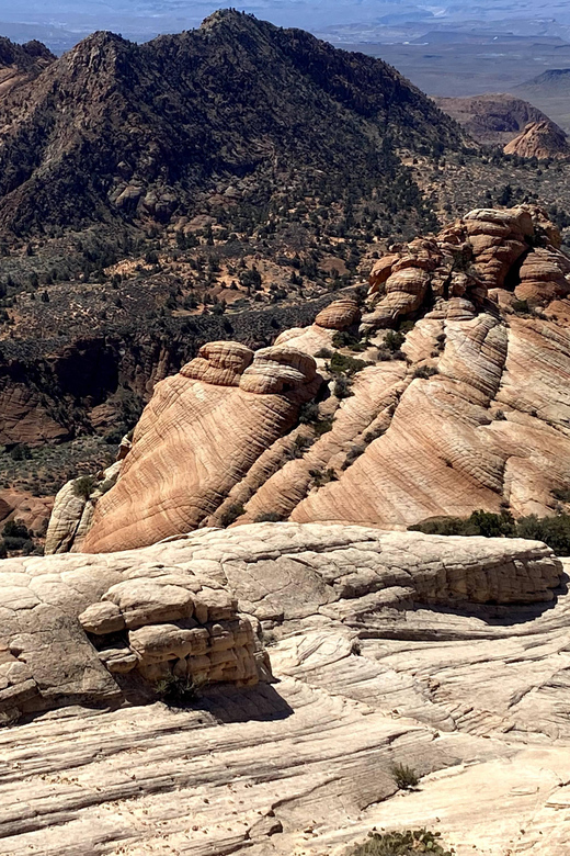 Zion National Park: Yoga & Hiking Tour - Authentic Experiences and Honest Insights