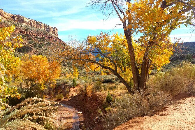 Zion UTV Morning Tour - The Sum Up: Is This Tour Worth It?