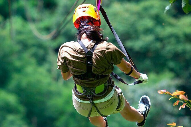 Zip Line Adrenaline Adventure Punta Can Located in Anamuya forest - What Travelers Can Expect