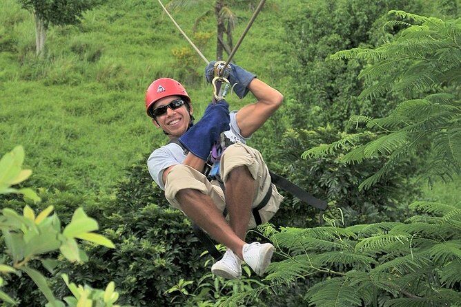 Zip Line - Half Day Adventure - An In-Depth Look at the Experience
